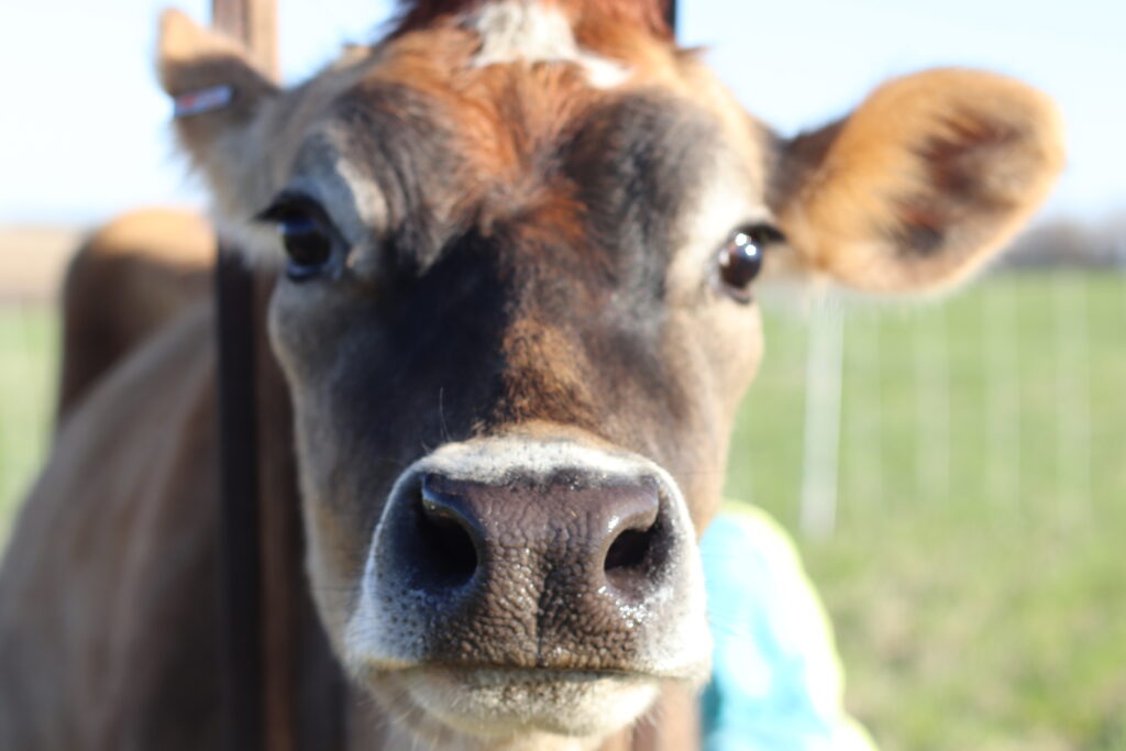 Home - Fortress Farms Iowa